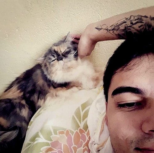 pericles adonis | Geral Geek